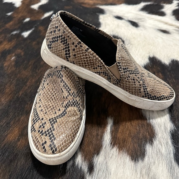 Steve Madden | Shoes | Steve Madden Snake Skin Shoes | Poshmark